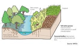 Roseau River Watershed District