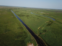 Roseau River Restoration Project