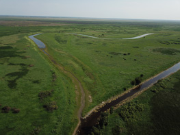 Roseau River Restoration Project