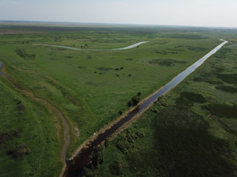 Roseau River Restoration Project