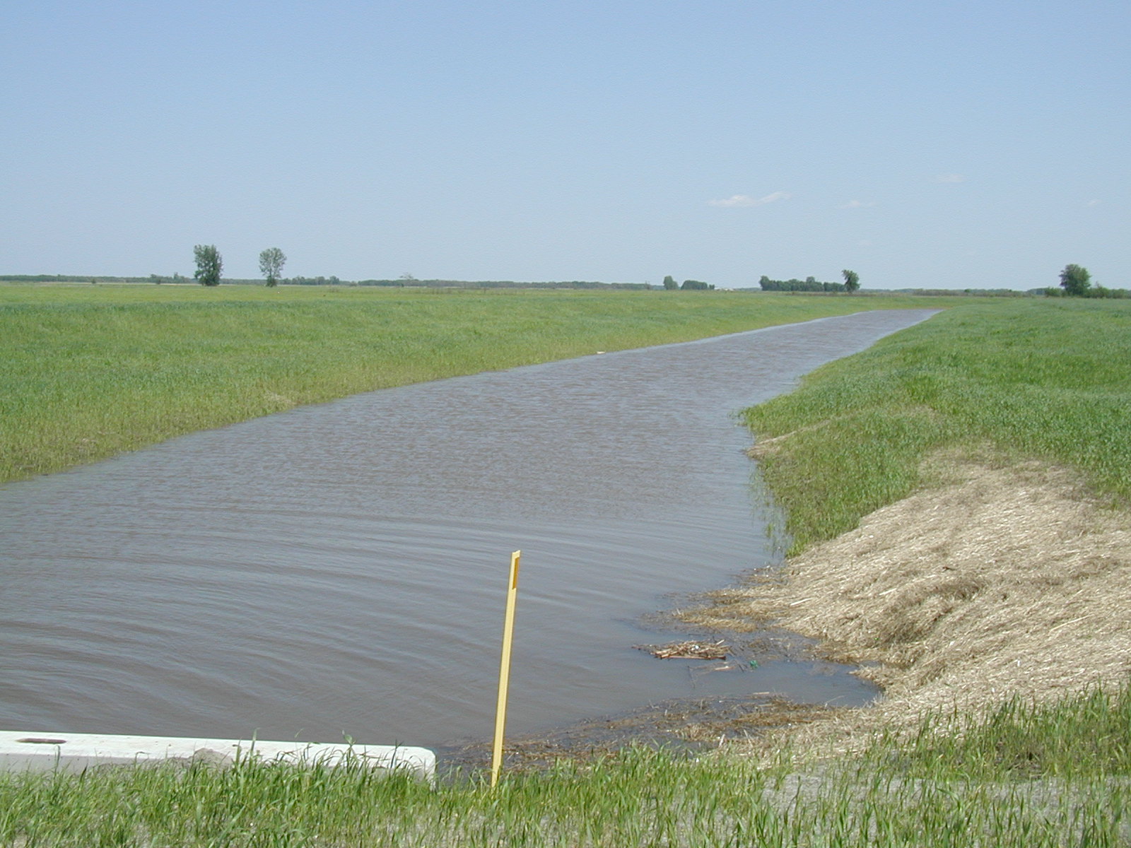 Levee In Mesopotamia